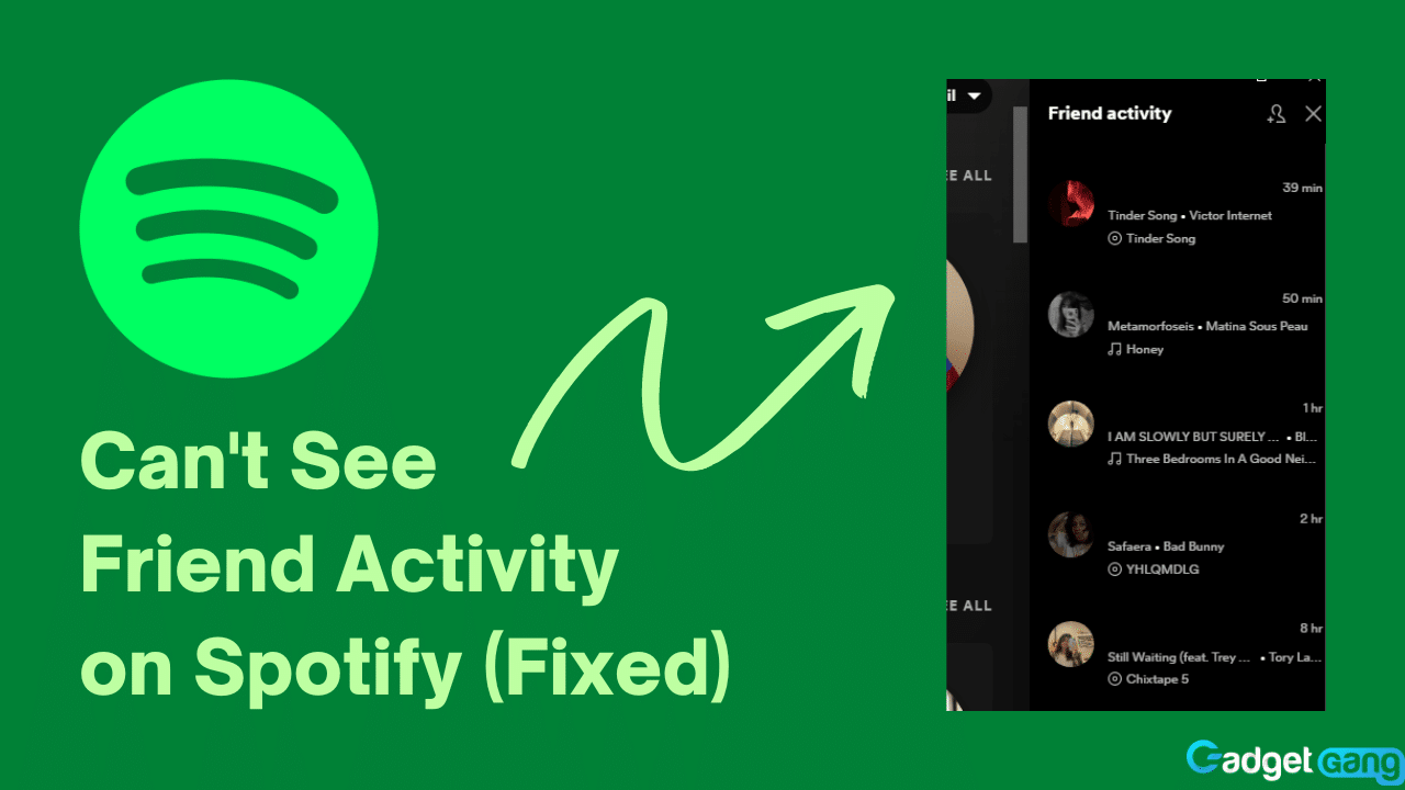 Why Can t I See My Friend Activity On Spotify GadgetGang